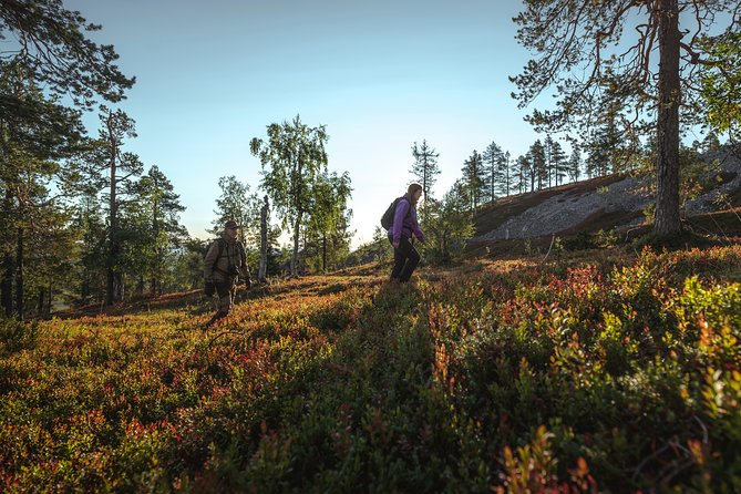Guided easy hike in Finland deepest gorge in Pyhä-Luosto National Park - Practical Tips for Participants