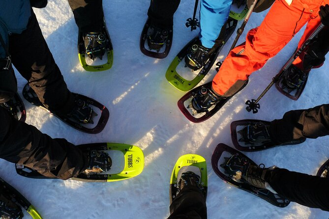 Guided Easy Snowshoeing With a Visit to Local Café - Key Points