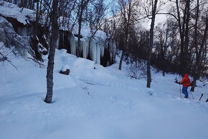 Guided Easy Snowshoeing With a Visit to Local Café - Discovering the Local Café Experience