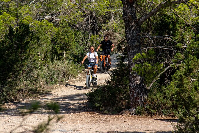 Guided Ebike Tour in Ibiza - What Past Participants Say