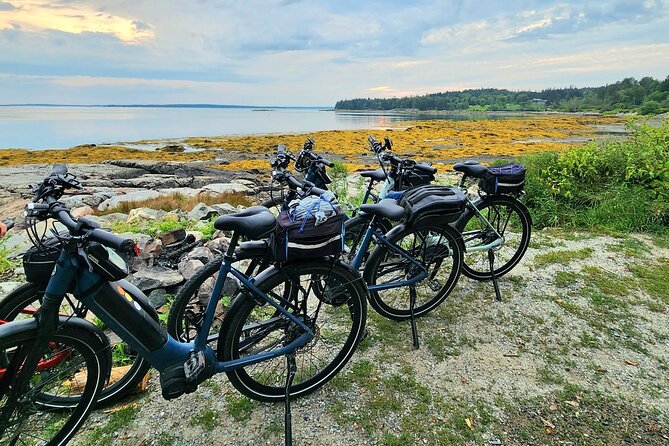 Guided Ebike Tour of Acadia National Park Carriage Roads - Final thoughts: Is this tour worth it?
