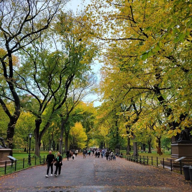 Guided Economy Pedicab Tour in Central Park - Authentic Insights from Reviews