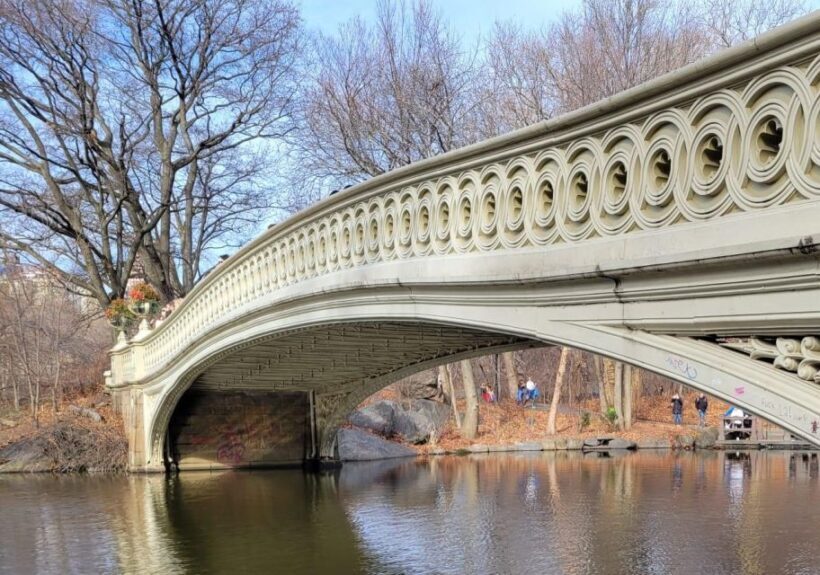 Guided Economy Pedicab Tour in Central Park - The Practicalities and Value