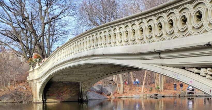 Guided Economy Pedicab Tour in Central Park - The Sum Up
