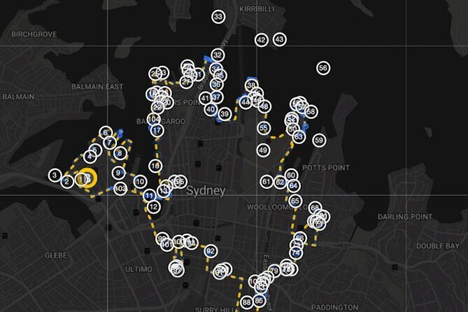 Guided Electric Bike Tour of Sydney - Practical Details: What You Need to Know