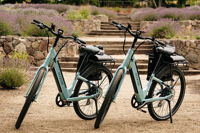 Guided Electric Bike Wine Tour Through Sonoma County - Authentic Reviews and Insights