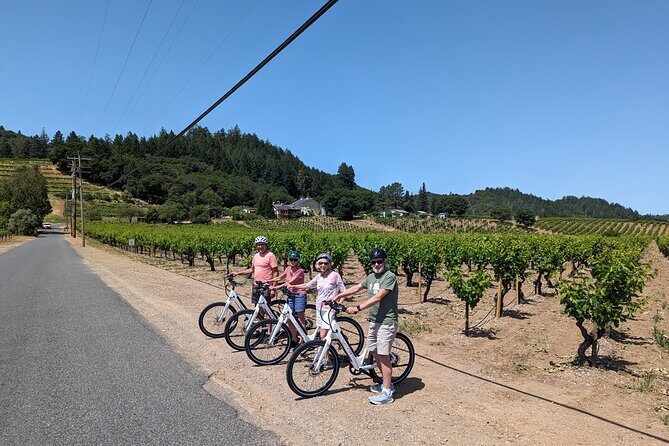 Guided Electric Bike Wine Tour Through Sonoma County - Practical Details