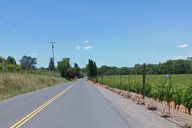 Guided Electric Bike Wine Tour Through Sonoma County - Who Is This Tour Best For?