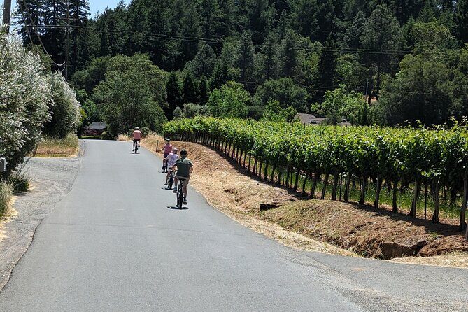 Guided Electric Bike Wine Tour Through Sonoma County - Final Thoughts