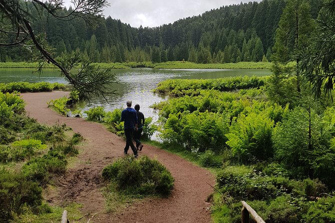Guided Electric Mountain Bike in Sete Cidades - The Experience and Who It’s For