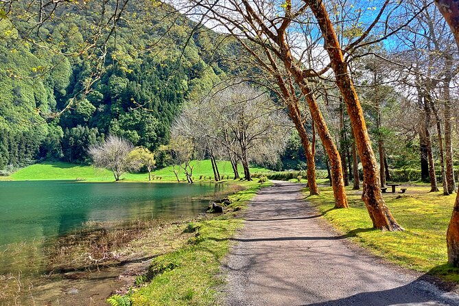 Guided Electric Mountain Bike in Sete Cidades - Who Will Love This Tour?