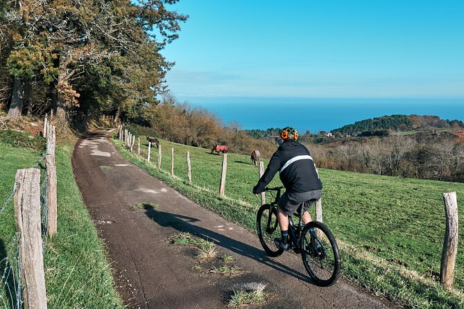 Guided Electric Mountain Bike Tour in Gipuzkoa - The Real Deal: What Travelers Say