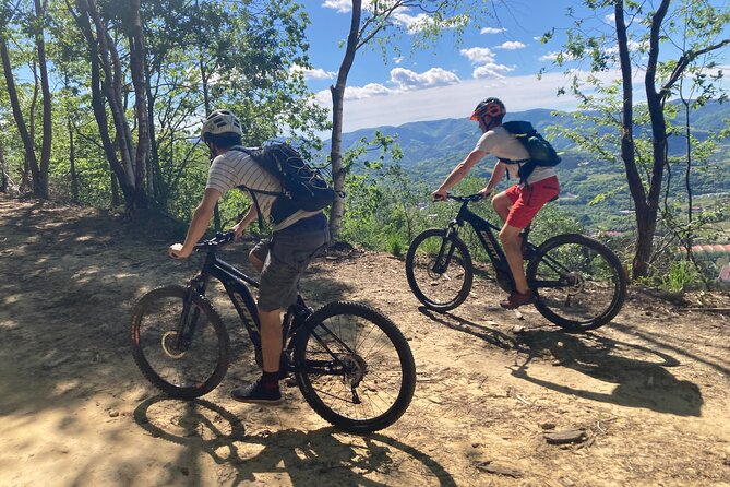 Guided Electric Mountain Bike Tour in Gipuzkoa - The Sum Up