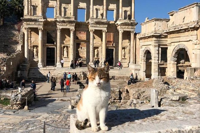 Guided Ephesus Tour From Kusadasi Cruise Port - The Sum Up