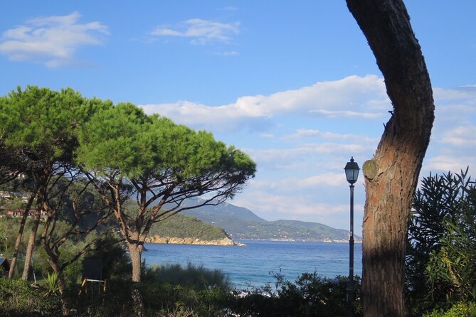 Guided Excursion Elba Island - Full Day - The Sum Up