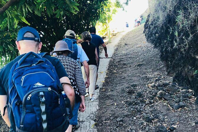 Guided Excursion in 4x4 in Moorea between Land and Sea - Practical Details