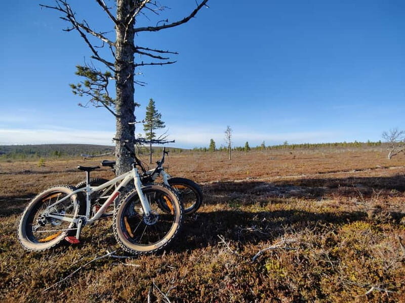 Guided Fatbike Tour in Ivalo - The Route and What to Expect