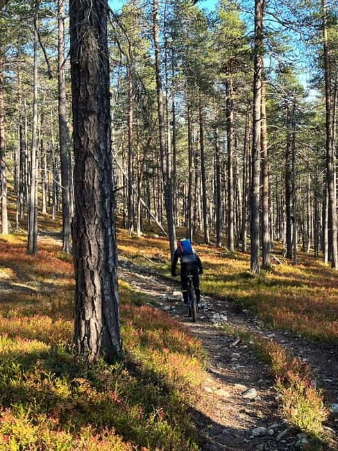 Guided Fatbike Tour in Ivalo - Who Will Love This Tour?