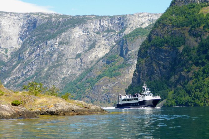 Guided Fjord & Glacier Tour - From BERGEN - Customer Feedback and Experiences