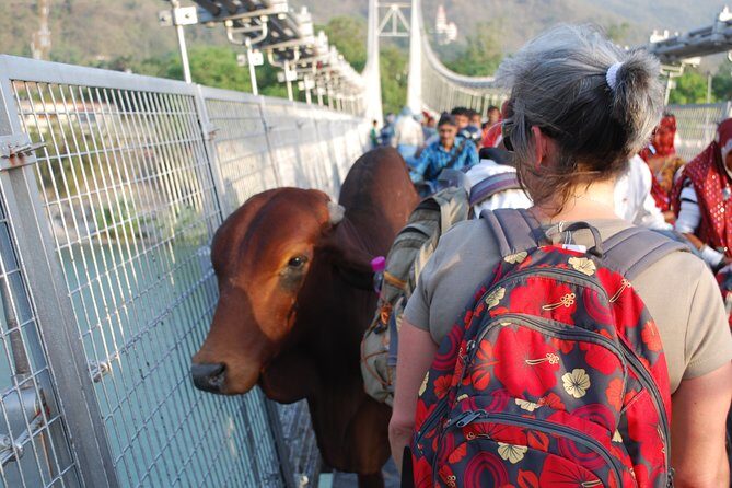 Guided Food Walking Tour in Rishikesh with a local - Best of Culture & History - The Sum Up