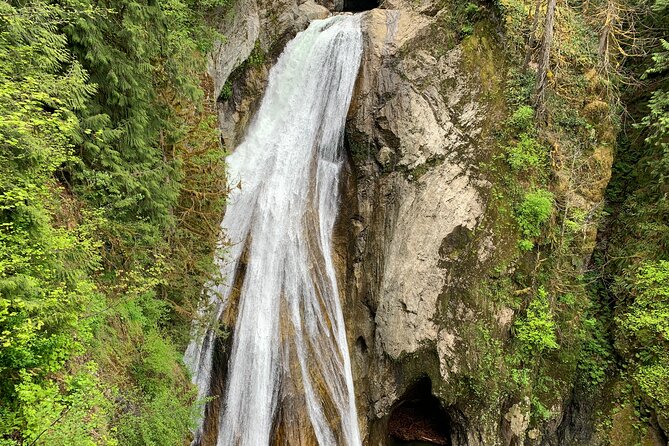 Guided forest hike to Seattle waterfalls incl. Snoqualmie Falls - Transportation and Group Experience