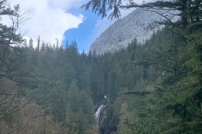 Guided forest hike to Seattle waterfalls incl. Snoqualmie Falls - Pricing and Value