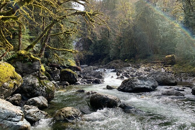 Guided forest hike to Seattle waterfalls incl. Snoqualmie Falls - Authentic Experiences and Highlights