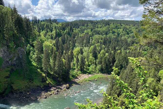 Guided forest hike to Seattle waterfalls incl. Snoqualmie Falls - Final Thoughts