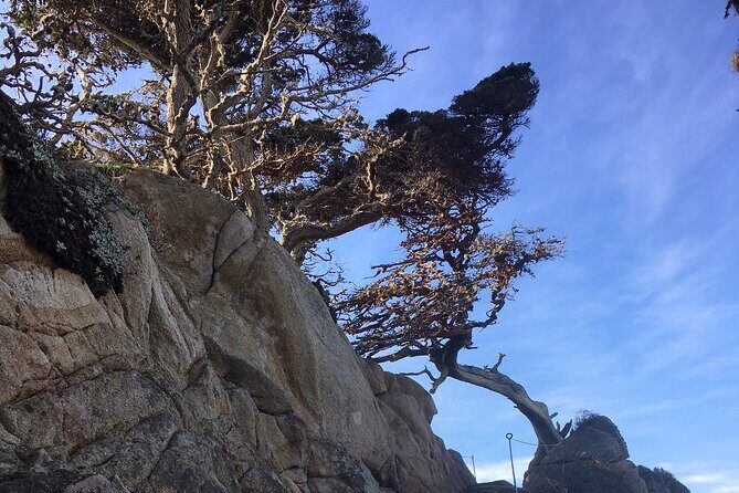 Guided full-day Big Sur hiking adventure with lunch - Key Points