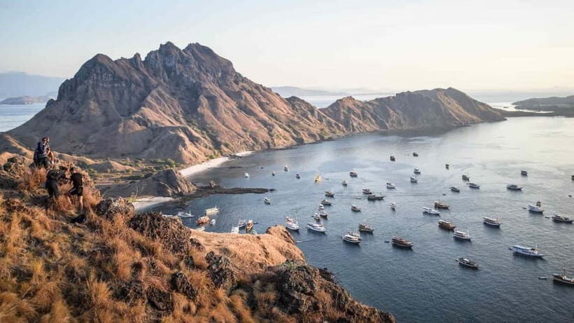Guided full-day Exploration trip of Komodo Island - Key Points