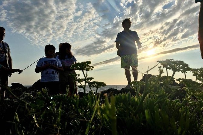 Guided Geological Excursion to Ustica - Appreciating the Scenic Coastal Landscapes