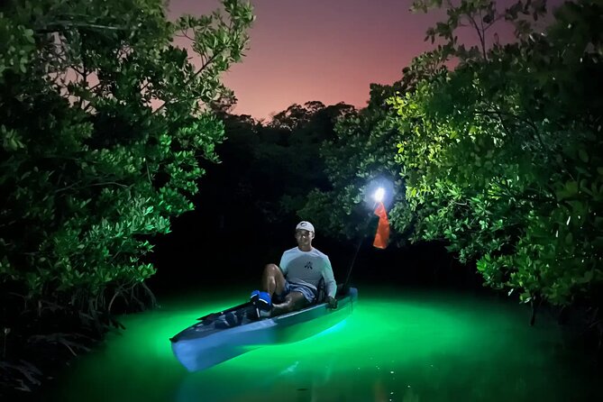 Guided Glow LED Kayak Sunset Activity in Bonita Springs - Key Points