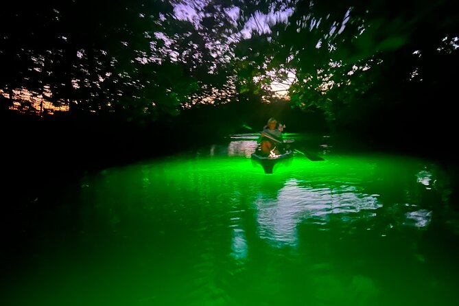 Guided Glow LED Kayak Sunset Activity in Bonita Springs - Value and Pricing Analysis