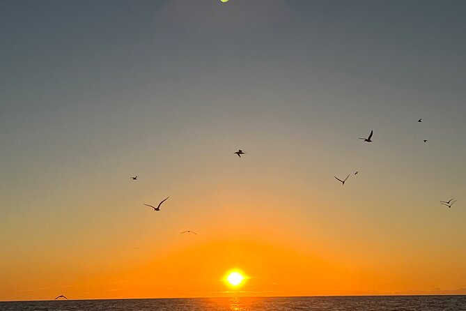 Guided Glow LED Kayak Sunset Activity in Bonita Springs - FAQ
