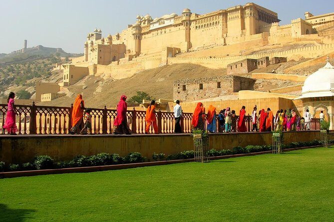 Guided Half Day Jaipur City Tour With Leopard Safari & Dinner - What Makes This Tour Stand Out?