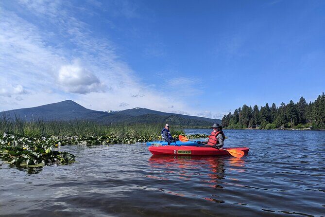 Guided Half-Day Kayak Tour - The Value Proposition