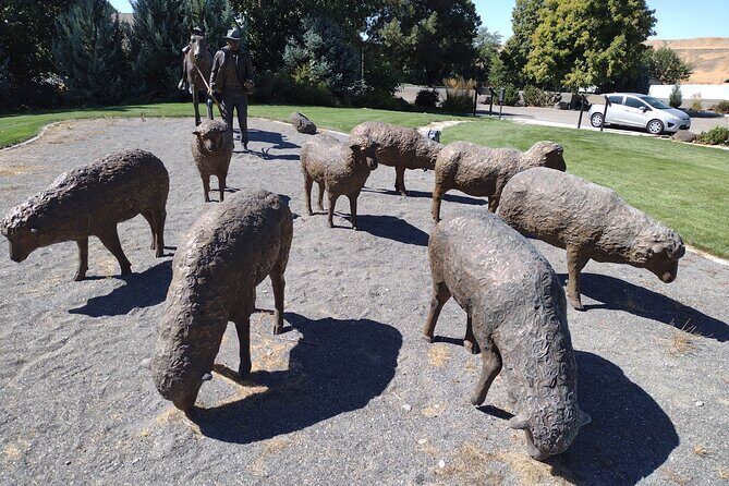 Guided Half-Day Tour Scenic Adventure & Wine Tasting Tour - The Sum Up