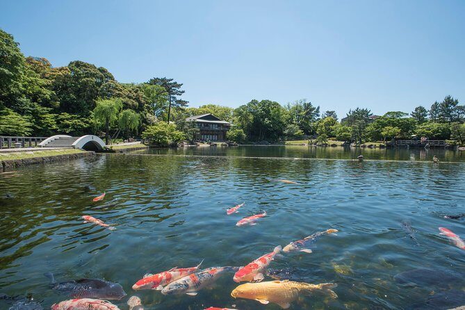 Guided Half-day Tour(AM) to Nagoya Castle & Tokugawa Museum and Garden - Final Thoughts: Is This Tour Right for You?