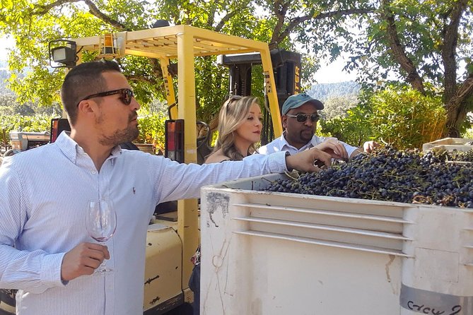 Guided Healdsburg Wine Country Bike and Wine Tasting Tour With Lunch - Pricing and Inclusions
