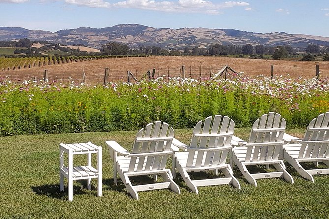 Guided Healdsburg Wine Country Bike and Wine Tasting Tour With Lunch - Customer Experiences