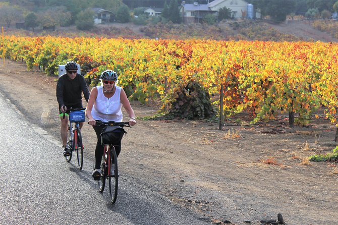 Guided Healdsburg Wine Country Bike and Wine Tasting Tour With Lunch - Frequently Asked Questions