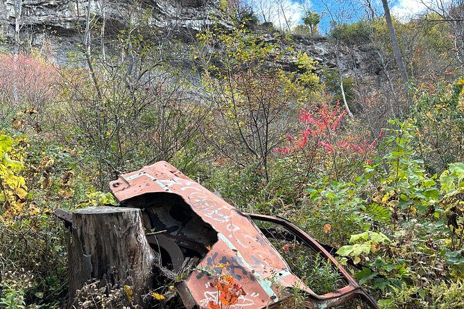 Guided Hike Along the Niagara River Gorge to Power Plant Ruins - Who Should Consider This Tour?
