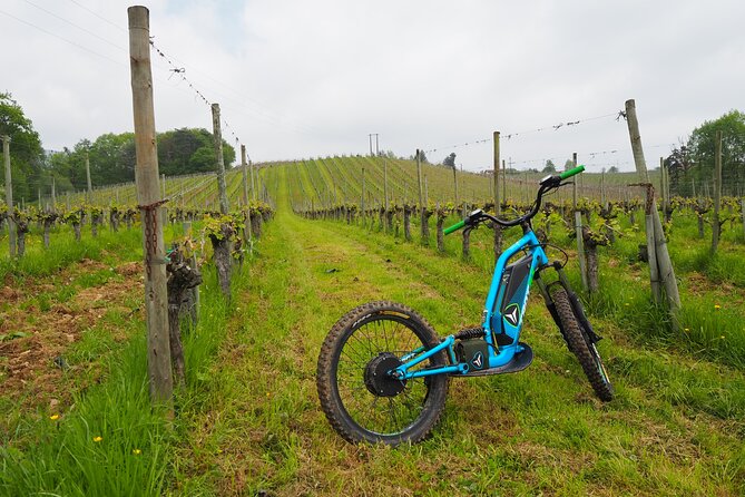 Guided hike in Iraty by scooter - Who Is This Tour Best Suited For?