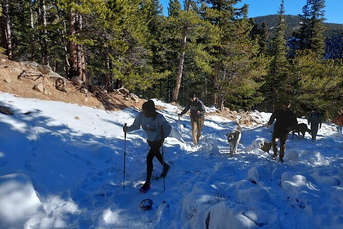 Guided hike in Rockies - Half Day Trip - Practical Tips for Visitors