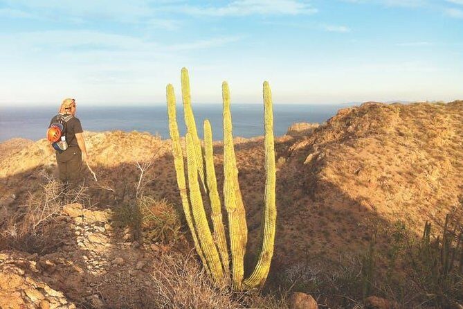 Guided Hike in Tabor Canyon - Why This Tour Offers Great Value