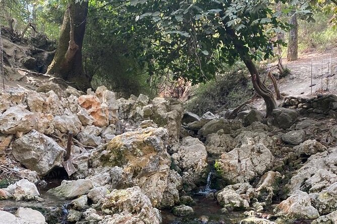 Guided Hike to the Seven Springs From Archangelos - Inclusions and Pricing