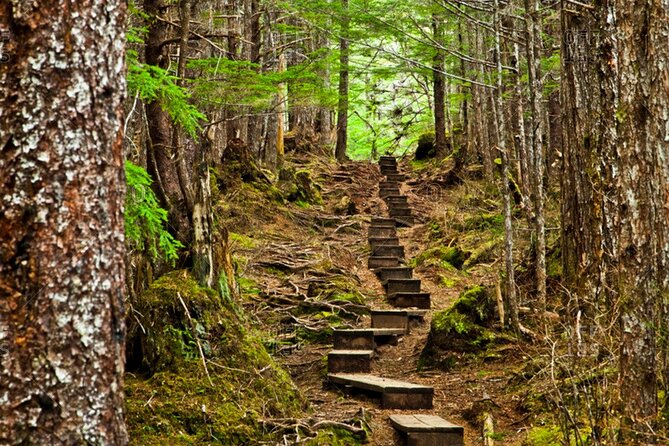 Guided Hike | TONGASS NATIONAL FOREST - Wildlife and Nature Observations