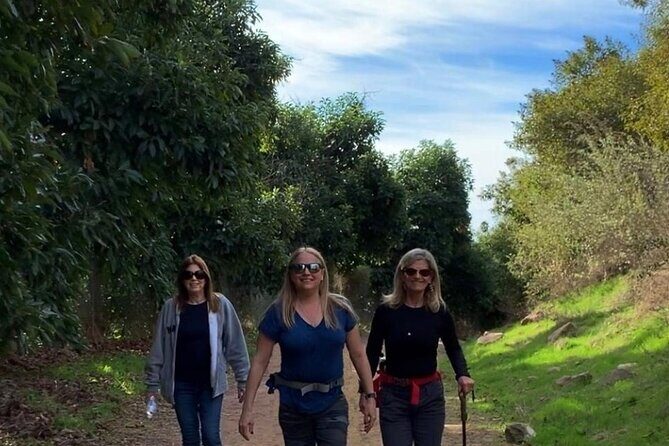 Guided Hiking Experience in Ojai - An In-Depth Look at the Ojai Guided Hike