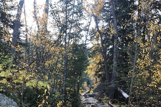Guided Hiking Experience of Iconic Mirror Lake & Lone Eagle Peak - Scenic Drive and Trailhead