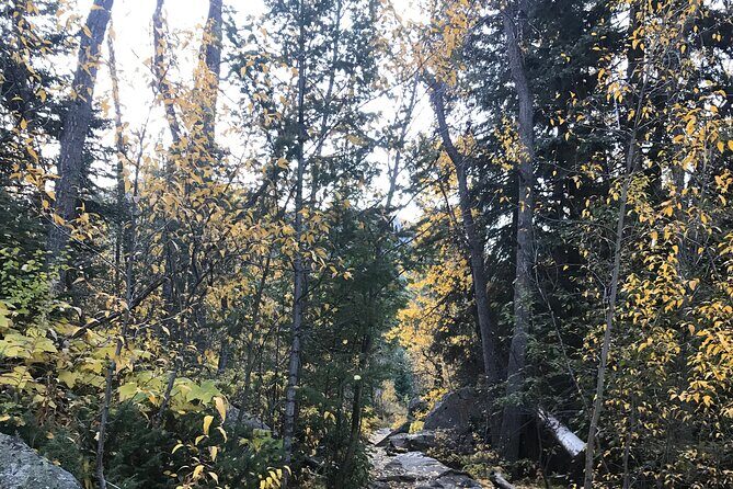 Guided Hiking Experience of Iconic Mirror Lake & Lone Eagle Peak - The Value of Guided Expertise